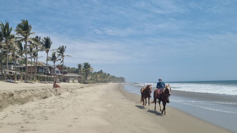 Máncora en Casa Manuel | Discovery Mancora tours